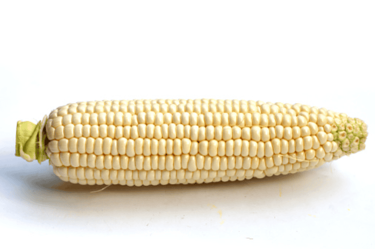 Wah, Jagung Jepang Hokkaido Ini Rasanya Semanis Gula